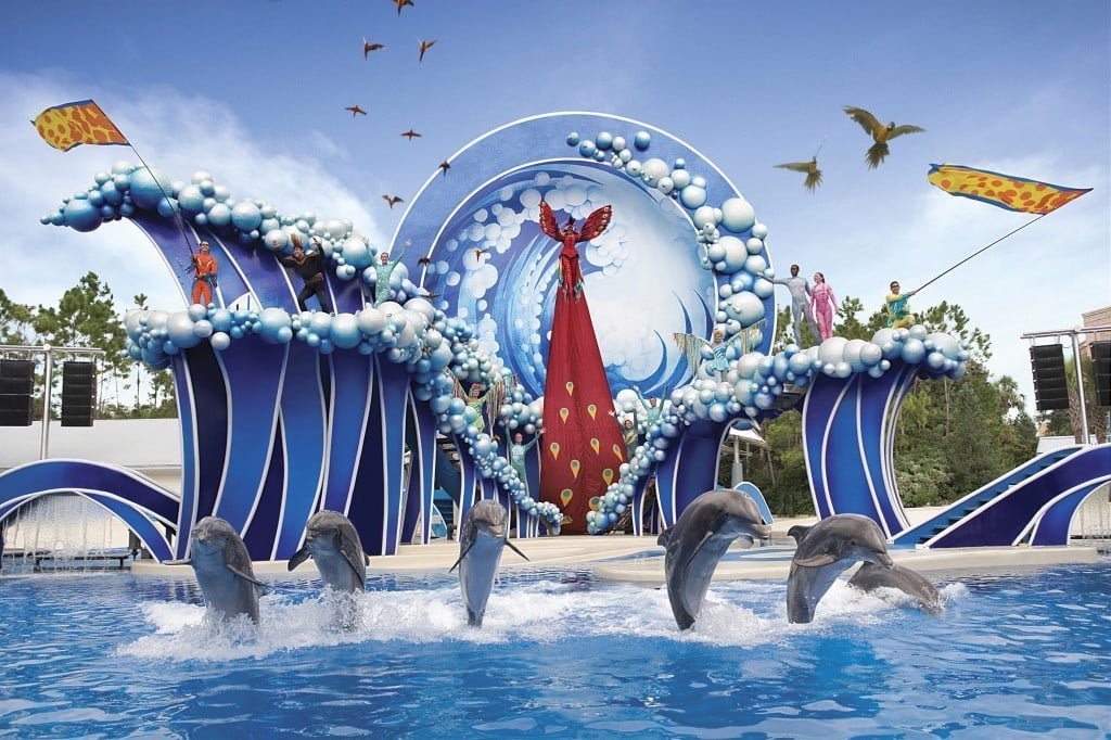 Conheça as atrações do Sea World em Orlando - Casa na Disney